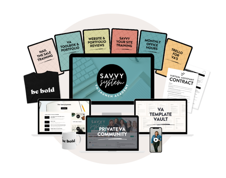 What is the SavvySystem: VA Launch Academy?