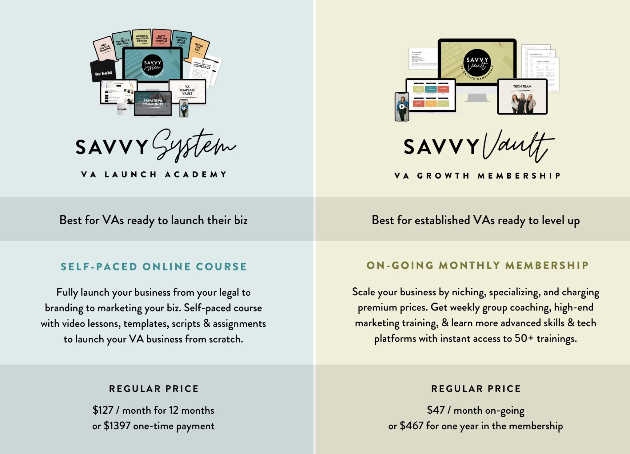 Best Virtual Assistant Training: SavvySystem vs. SavvyVault